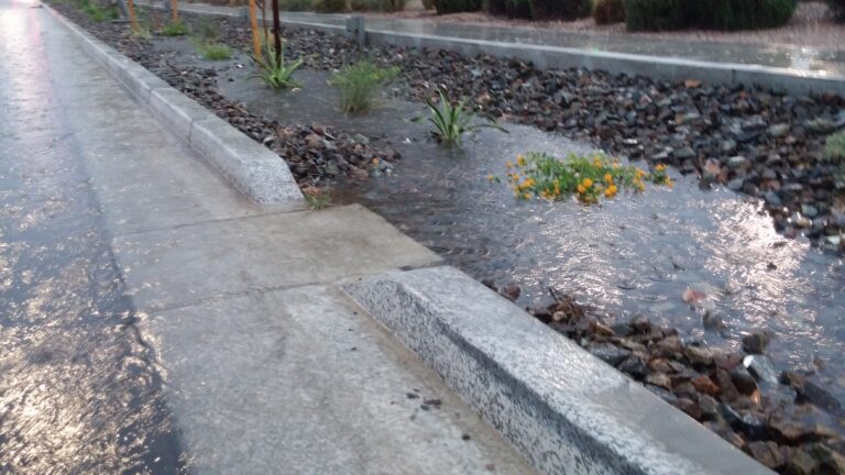 Incorporating the Green Infrastructure Handbook - Dibble