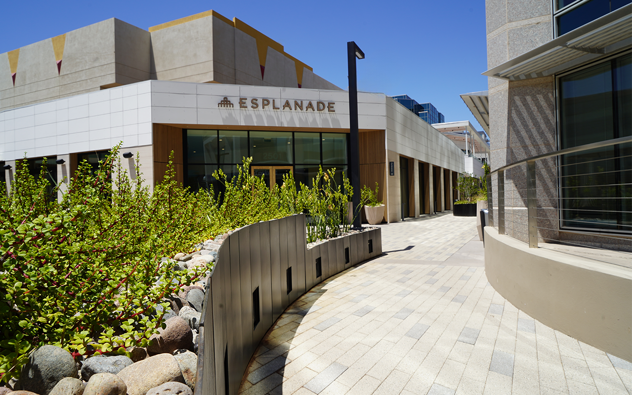 Esplanade Repositioning - Dibble